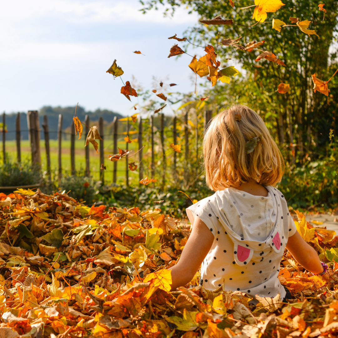 How To Preserve Leaves: The Two Most Effective Ways - Wholeheartedly Sarah
