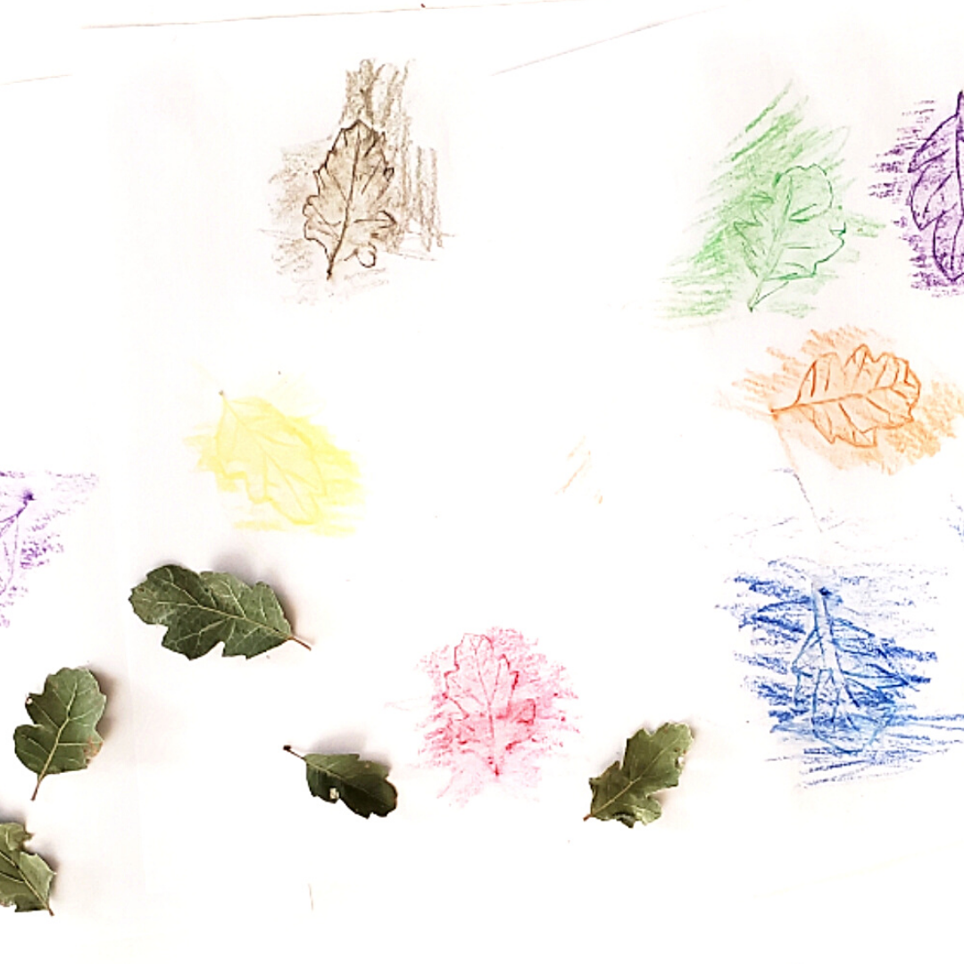 Seven New and Simple Leaf Activities for Preschoolers - Wholeheartedly ...